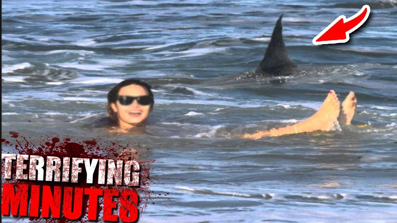 The TERRIFYING Last Minutes of Jamie Daigle! - YouTube