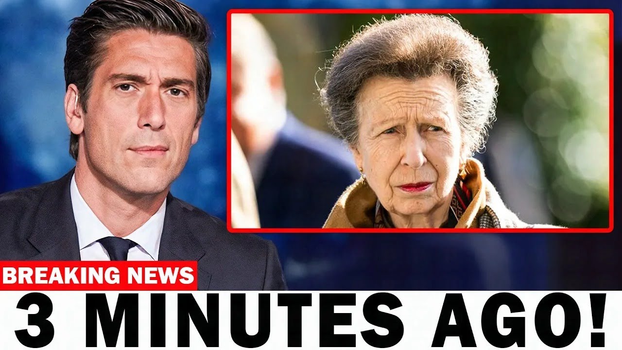 Princess Anne FINALLY Breaks Silence On King Charles After 52 Years ...