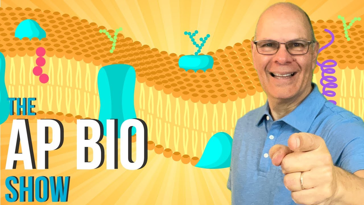 Crush it in AP Bio with the AP Bio Show. Ep. 6, Cell Membranes. - YouTube