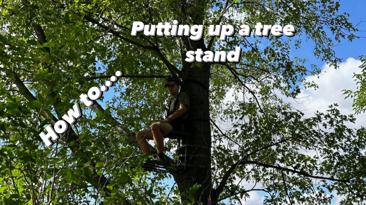 Putting up my first ever tree stand!! - YouTube