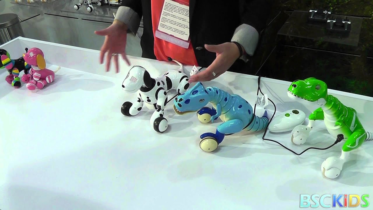 Zoomer+ and Friends Shadow and Bentley 2014 - YouTube