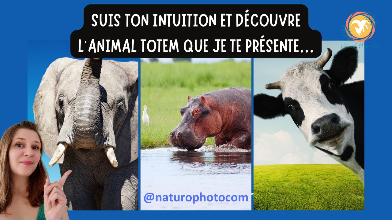 ANIMAL TOTEM : SUIS TON INTUITION ET DECOUVRE L'ANIMAL TOTEM QUE JE TE ...