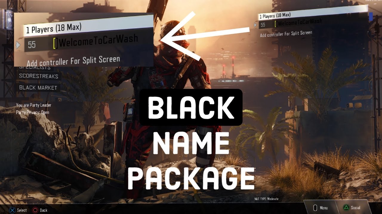 Modded BO3 Account Black Name Package Showcasing!! | PS4/PS5 CHEAP ...