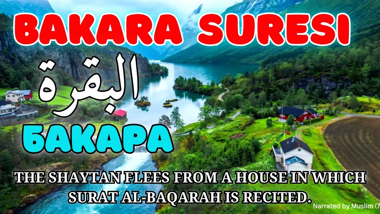 Surah Al Baqarah. Surja el Bekare - YouTube