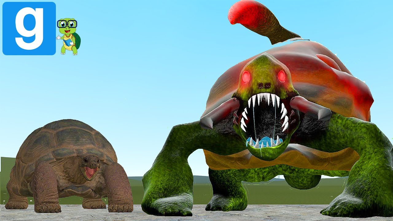 NEW INFECTED TURTLE ZOOCHOSIS MUTANT IN (Garry`s Mod) - YouTube