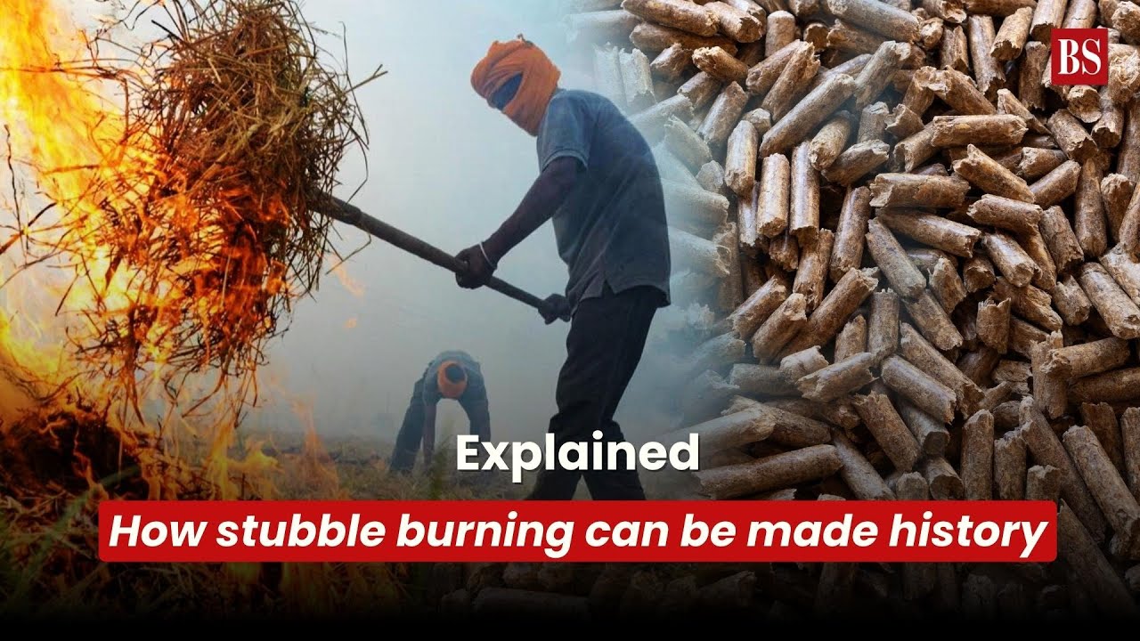 Watch | How stubble burning can be made history - YouTube