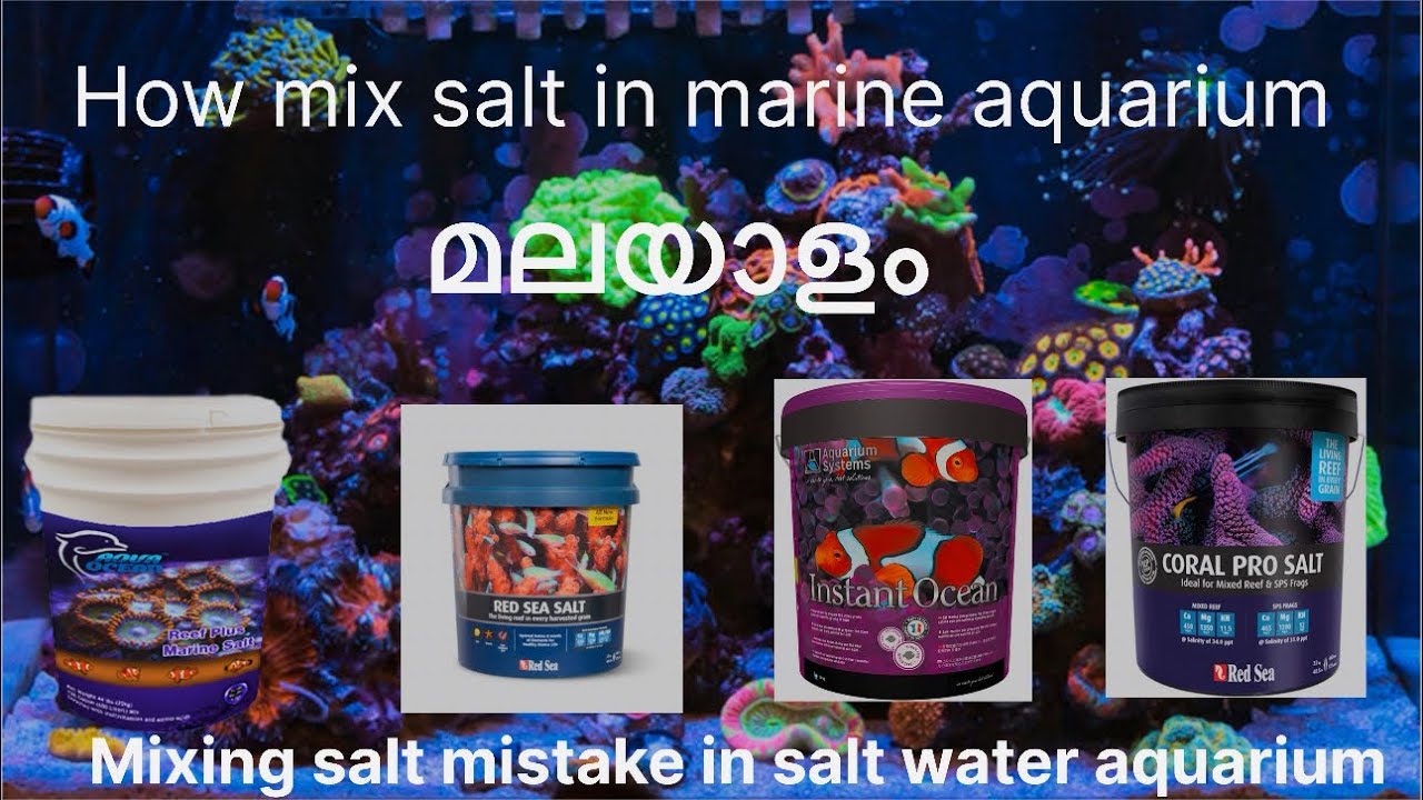 How to make salt water for aquarium മലയാളം - YouTube