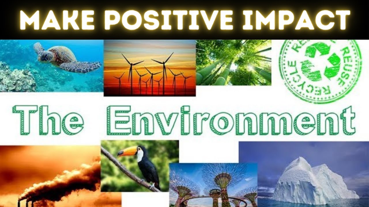 Be the Change: 10 Ways to Make a Positive Impact on the Environment ...