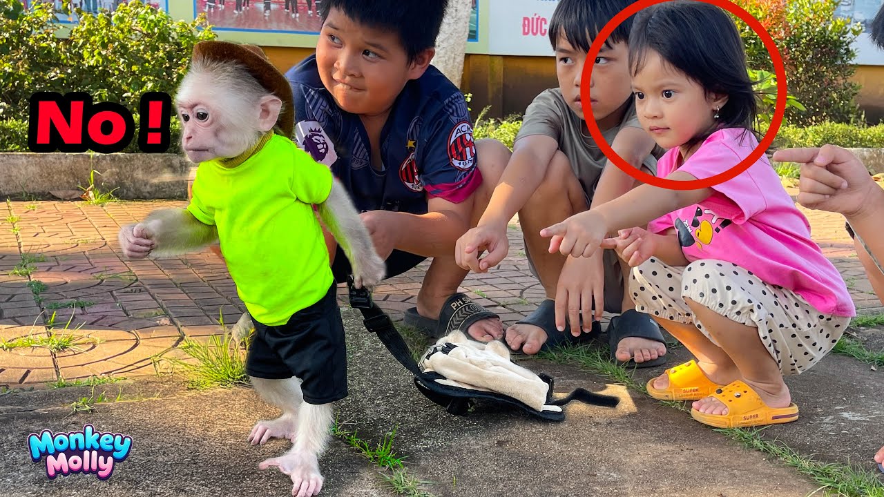 Monkey Molly Got into Big Trouble After Running Away from Home! - YouTube