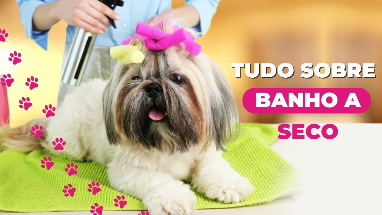 BANHO A SECO PARA CÃES: o que é? como funciona? como usar? - YouTube