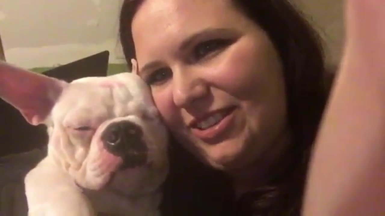 Help My Dog is Covered in Red Lipstick!!!!! Vlog#2 02/10/2016 - YouTube