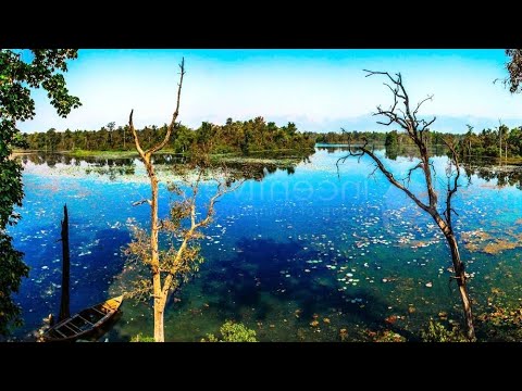 Beautiful jokhar Taal-Dhangadhi,kailali.#dhangadhi #youtube # ...