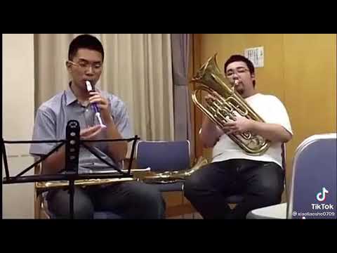 Star Wars-The Imperial March (funny version)