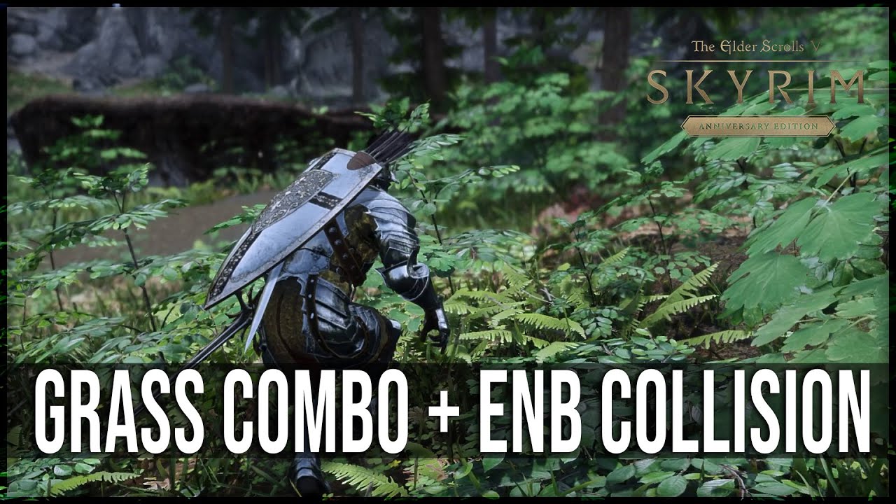 Grass Combo + ENB Collisions! | Skyrim SE/AE: Mod Showcase! - YouTube
