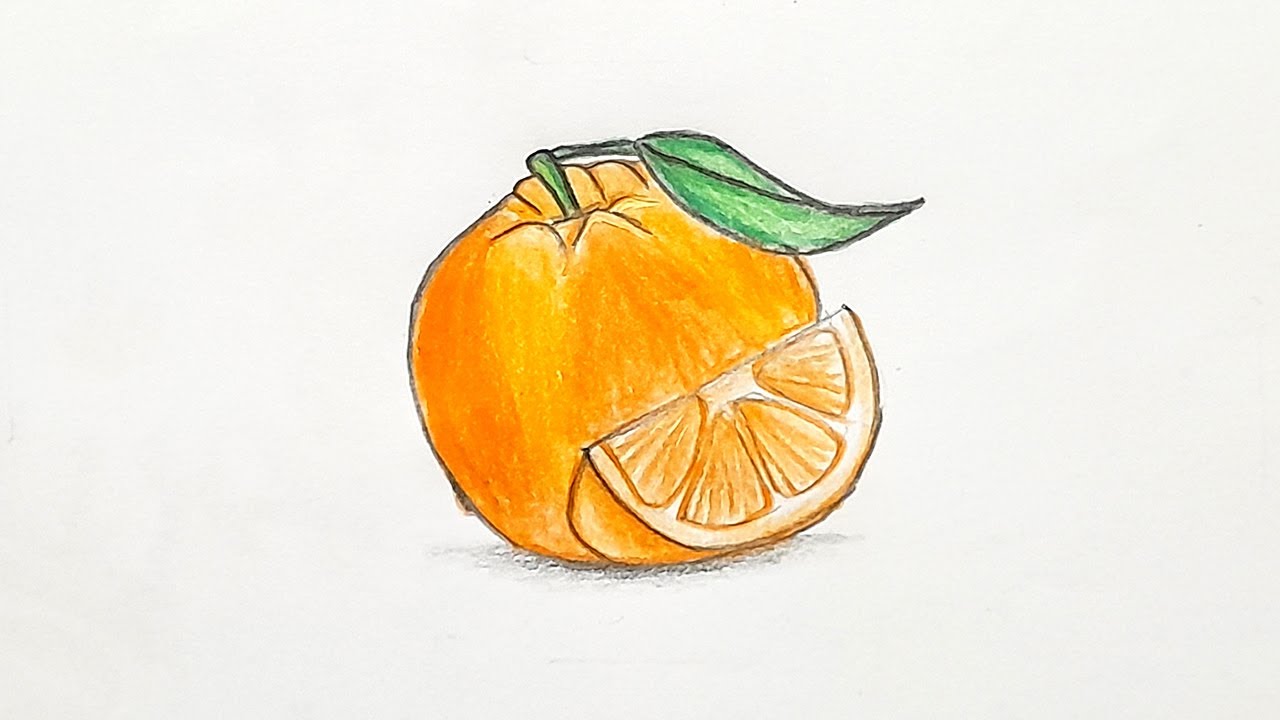 How to draw an orange easy step by step - YouTube