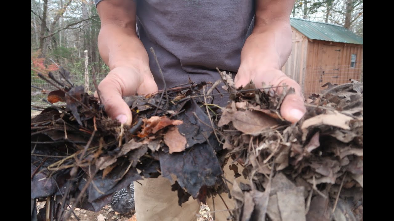 Doing a quick check up on how the chicken run leaf composting is ...