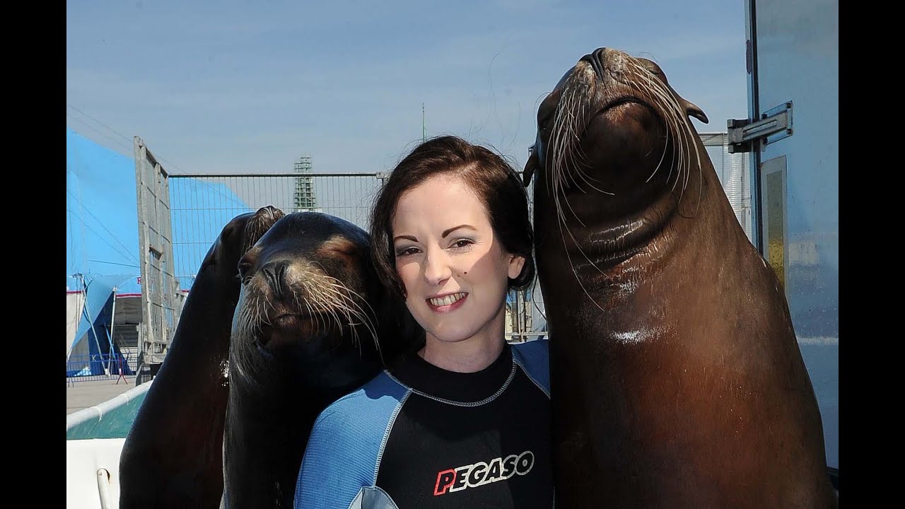 Schauspielerin Isabella Jantz schwimmt mit Seelöwen Chico, Tino & Joe ...