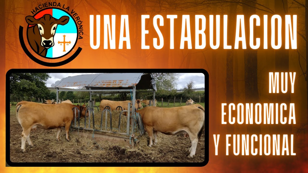 UNA ESTABULACIÓN MUY ECONOMICA Y FUNCIONAL.. - YouTube