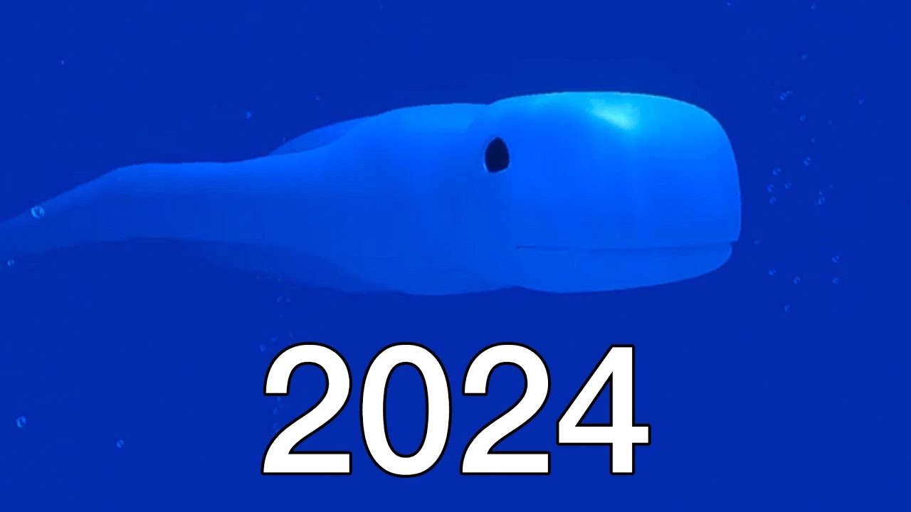 Evolution of Los Ningen - YouTube