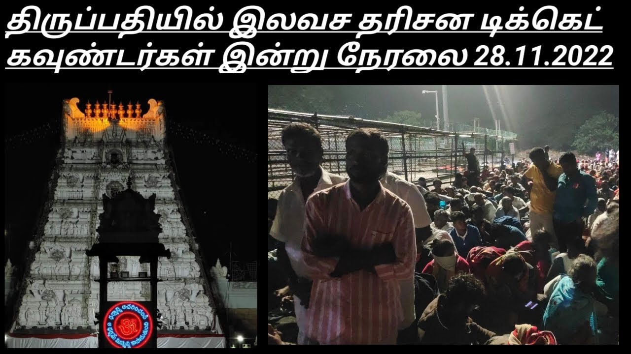 28|11|2022 Updates| TTD Free Darshan Updates| TTD Today Latest Updates ...