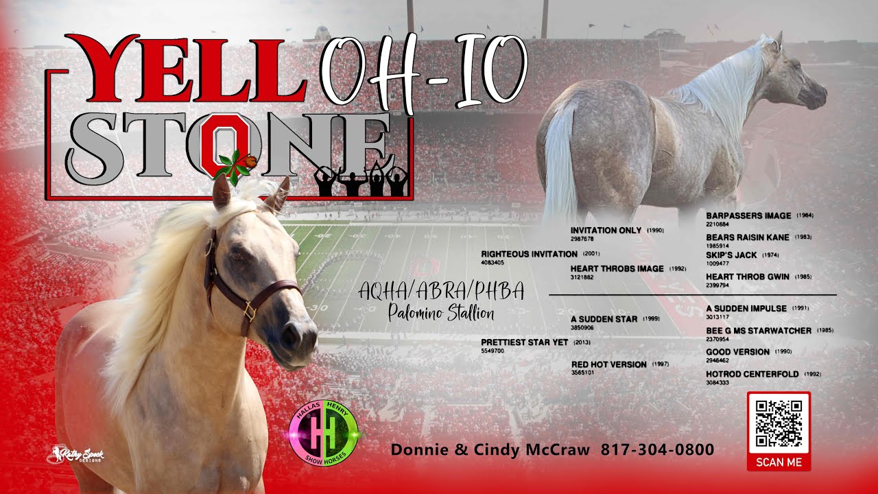 YELL OH STONE - 2021 STALLION | 2024 Open Versatility - YouTube