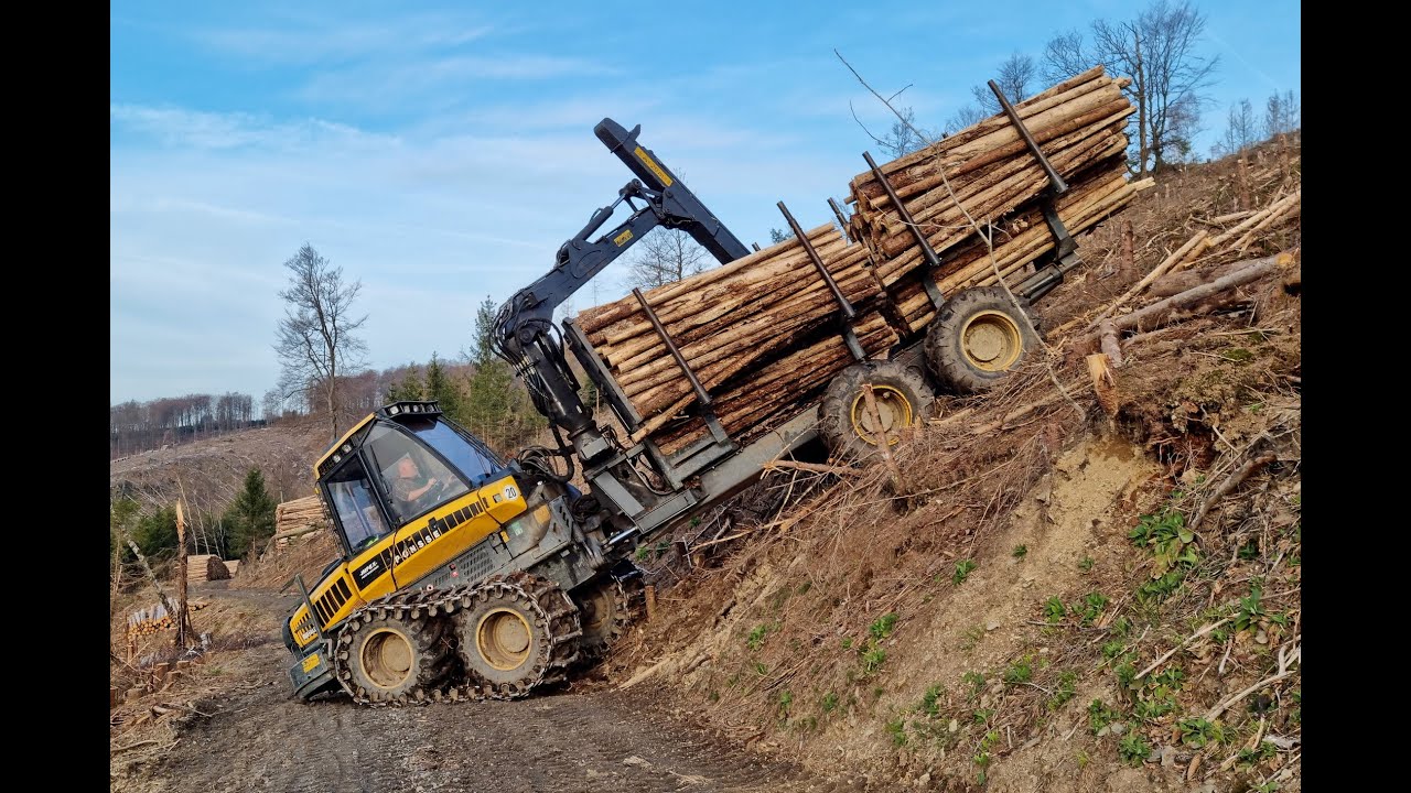 🌲Buffalo in slope • Ponsse Buffalo • Steilhang extrem • Forwarder ...