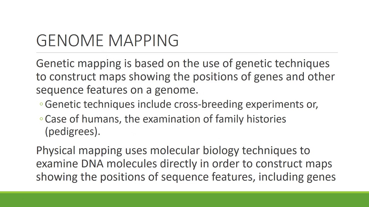 What is Gene Mapping | Types | Genetic Mapping | Physical Mapping - YouTube