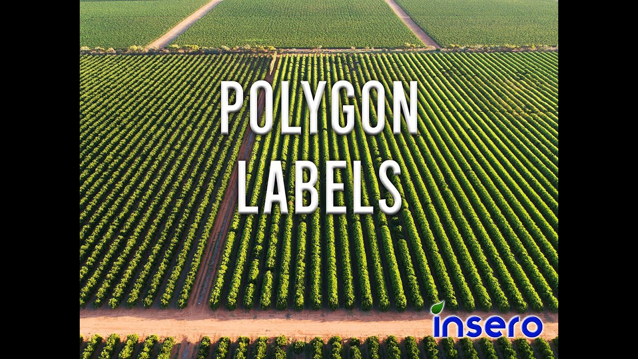 How to Create Polygon Labels - YouTube