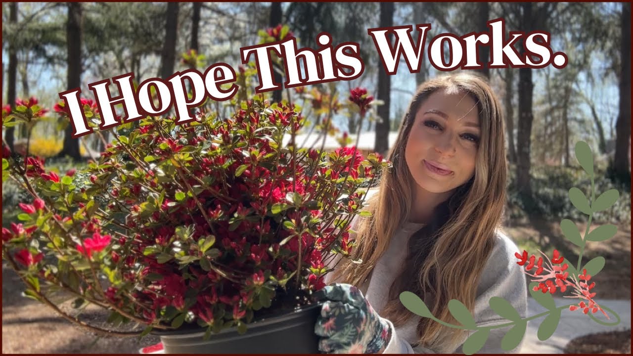 Starting Our Spring Garden | Hoping This Works 🤞🏼 - YouTube