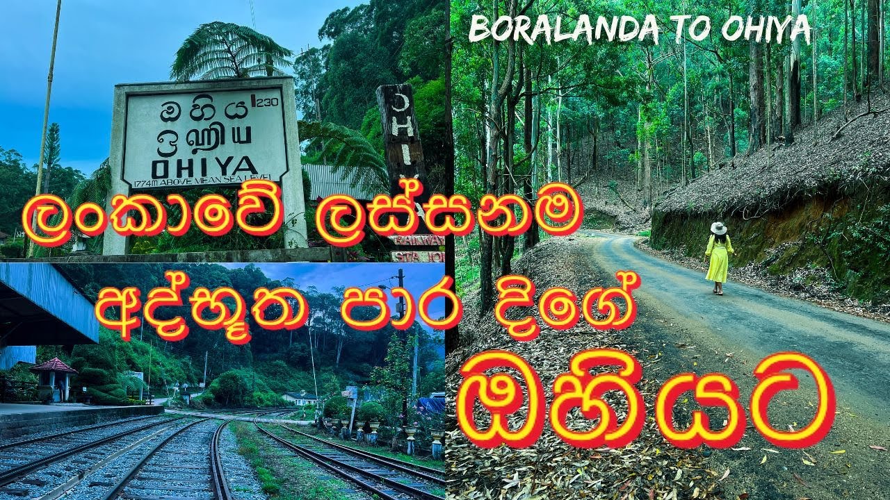Ohiya | Boralanda to Ohiya | ලංකාවේ ලස්සනම පාර | Ohiya Railway Station ...