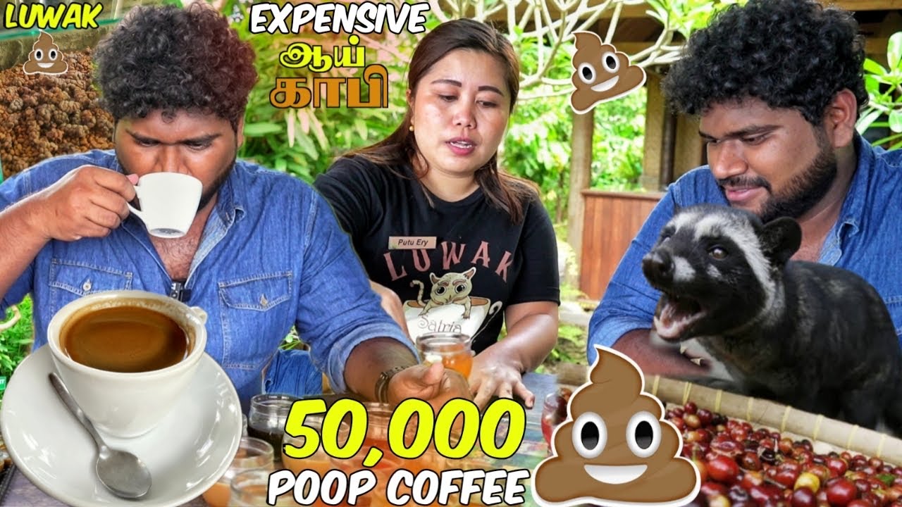 MOST FAMOUS !! 50,000 ஆய் காபி at Bali - Luwak Poop Coffee 💩 - Why Poop ...