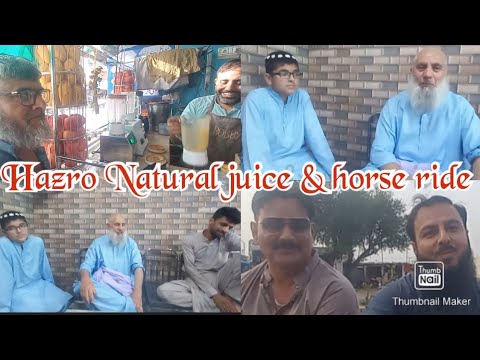 Hazro chach Natural Juice Horse tanga Guests of Karachi munsab k hazro ...