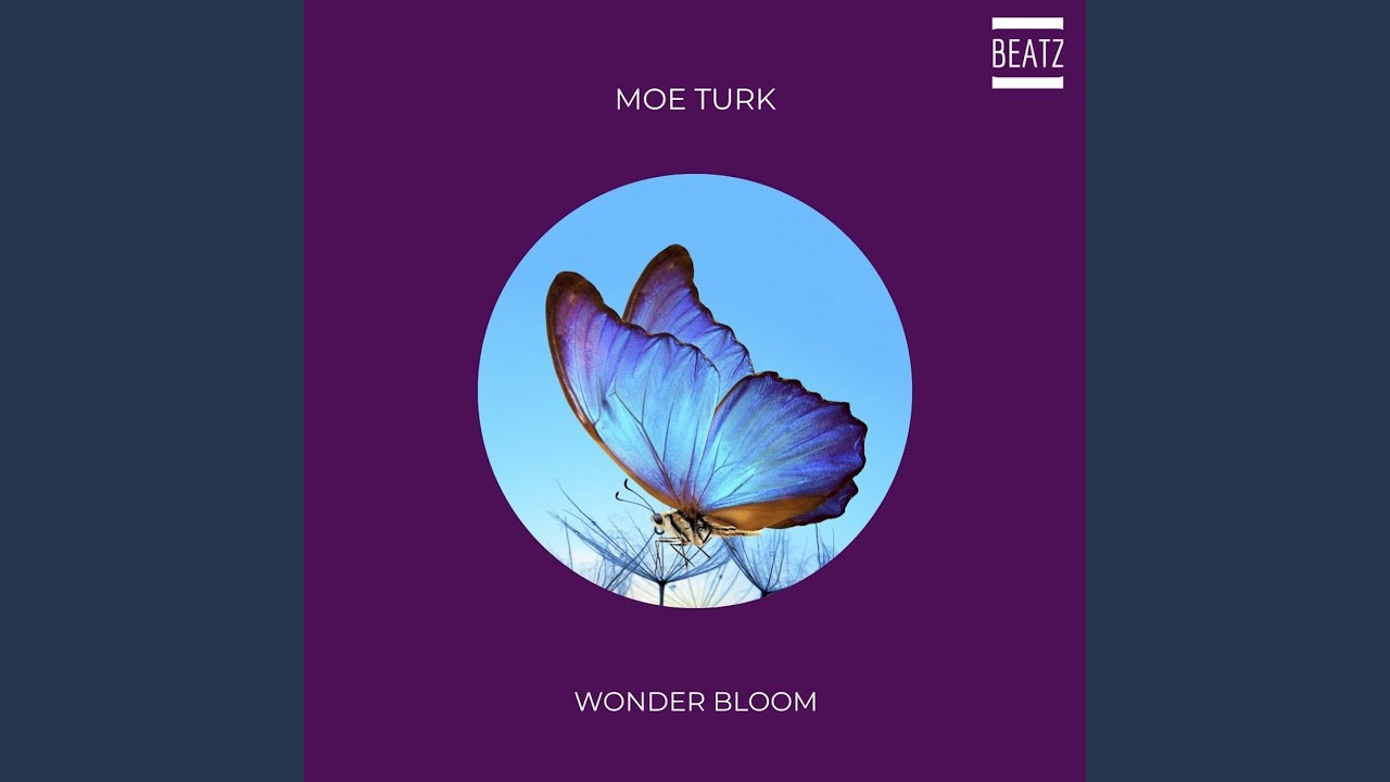 Wonder Bloom - YouTube