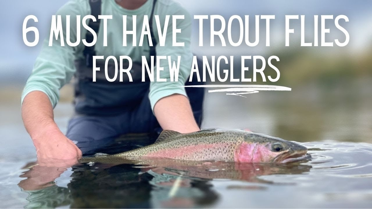 6 Must Have Trout Flies For Beginner Fly Fishing Anglers - YouTube