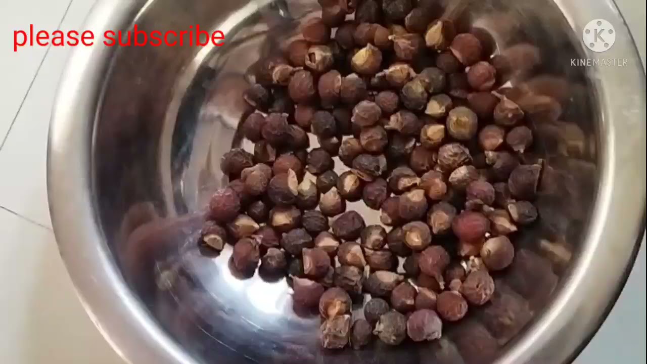 How to Use soap Nuts for Hair care / kunkudukai Benefits in Telugu ...