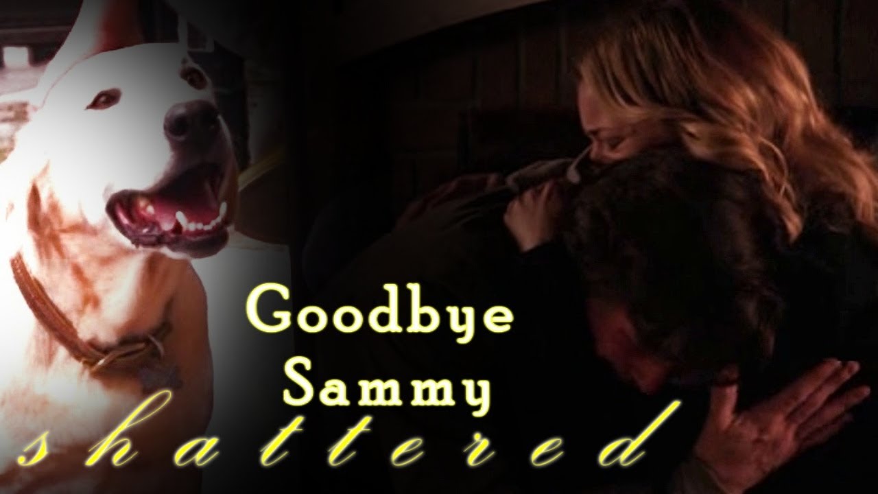 Revenge: RIP Sammy - YouTube