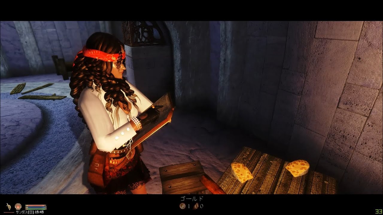 【Oblivion】New Third Person + Immersive First Person View【MOD紹介】 - YouTube