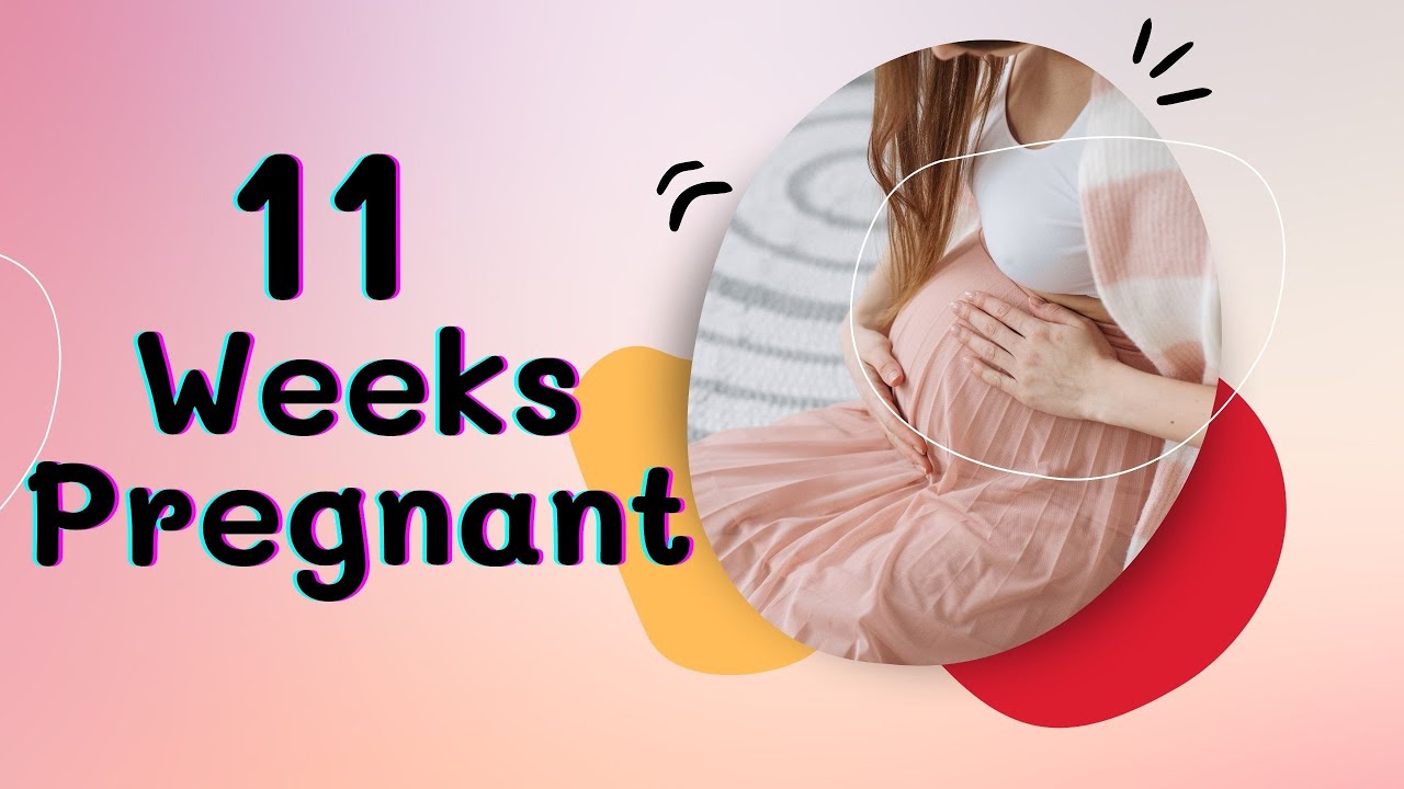 11 Weeks Pregnant Symptoms: Discover Your Baby's Incredible Development ...
