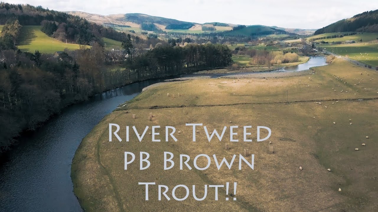 Fly Fishing on the River Tweed - Personal Best River Brown Trout ...