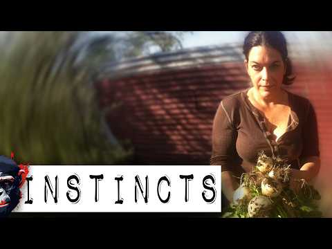 Dinner at Annie and Tommaso's. An Exercise in Initial Instincts | The Abduction of Nancy Guthrie