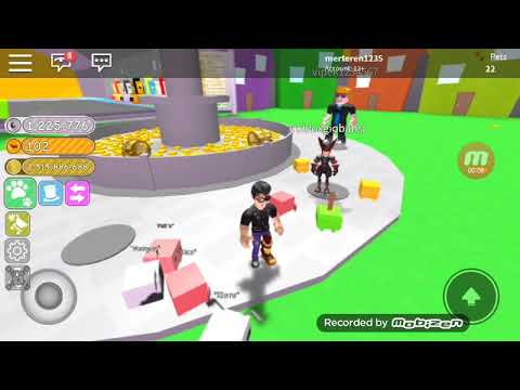 47k para yaptim roblox (pet simulator)