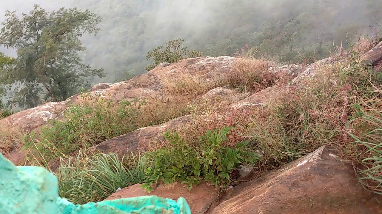 Karaddi forest on depth of hill in Yercaud - YouTube
