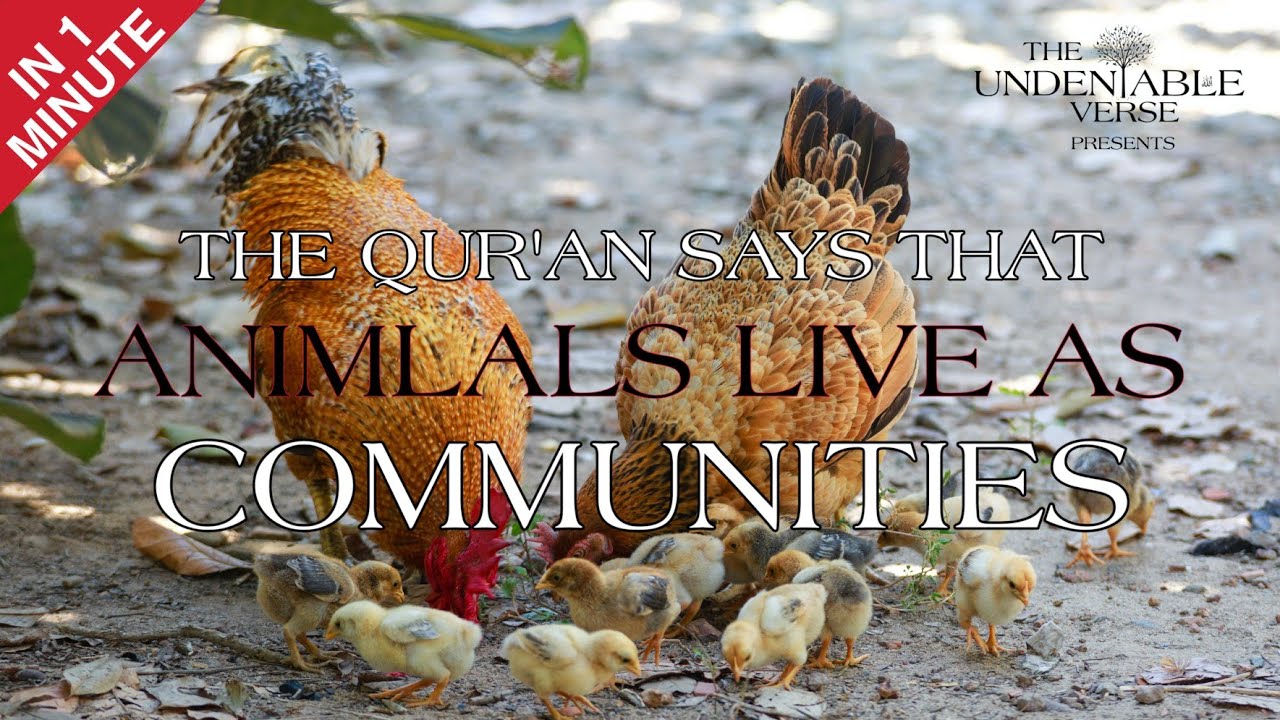 Animals lives as communities | The science in quran| One minute version ...
