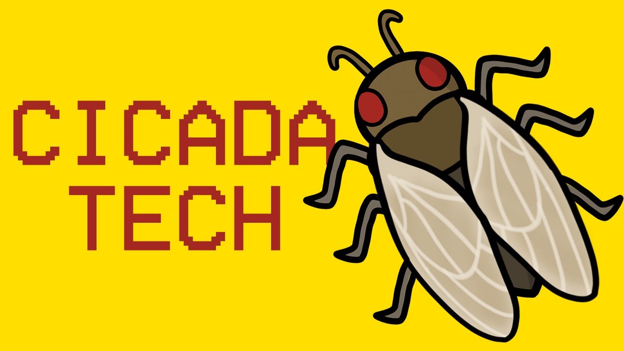 How Cicada Wings Inspired Anti-Microbial Technology | Bio-Inspiration ...