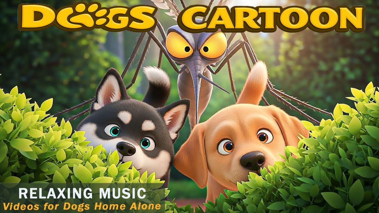 Dog Cartoon Relax: Dog TV for Dogs to Watch! in Colors They Can See ...