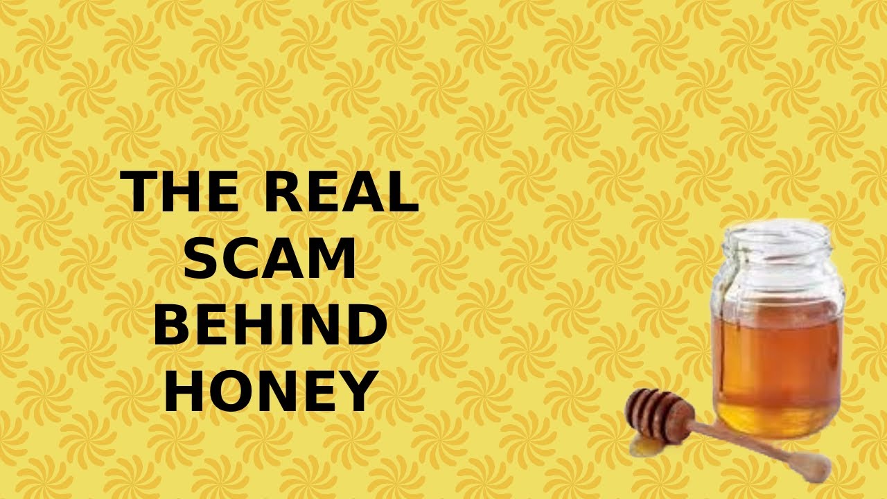 The Sweet Scam How Honey is Fooling You - YouTube