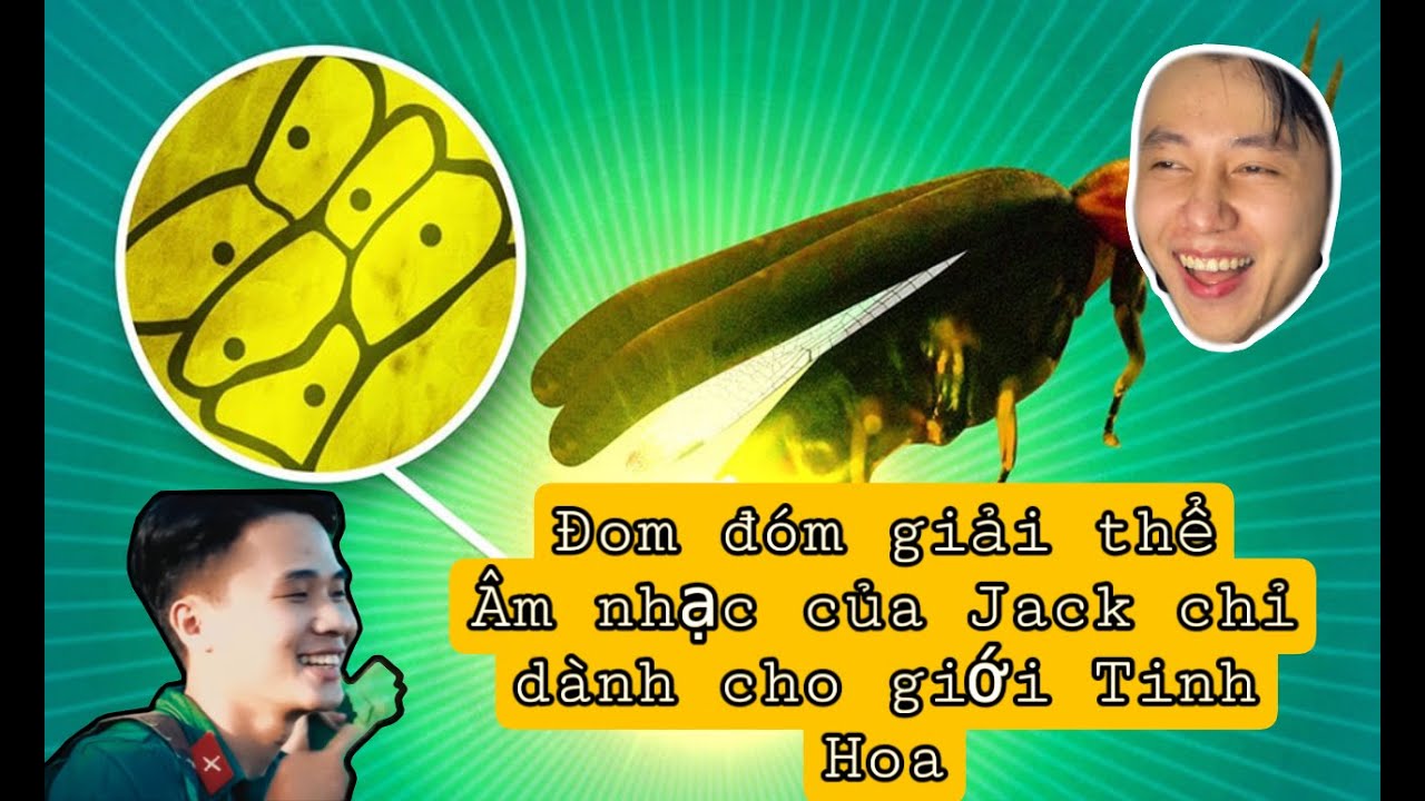 Đom đóm giải thể - Âm nhạc của J97 chỉ dành cho giới thượng lưu# ...