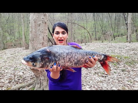 Fish Recipe : Super Easy Oven Baked Fish Recipe | vetki fish fillet ...