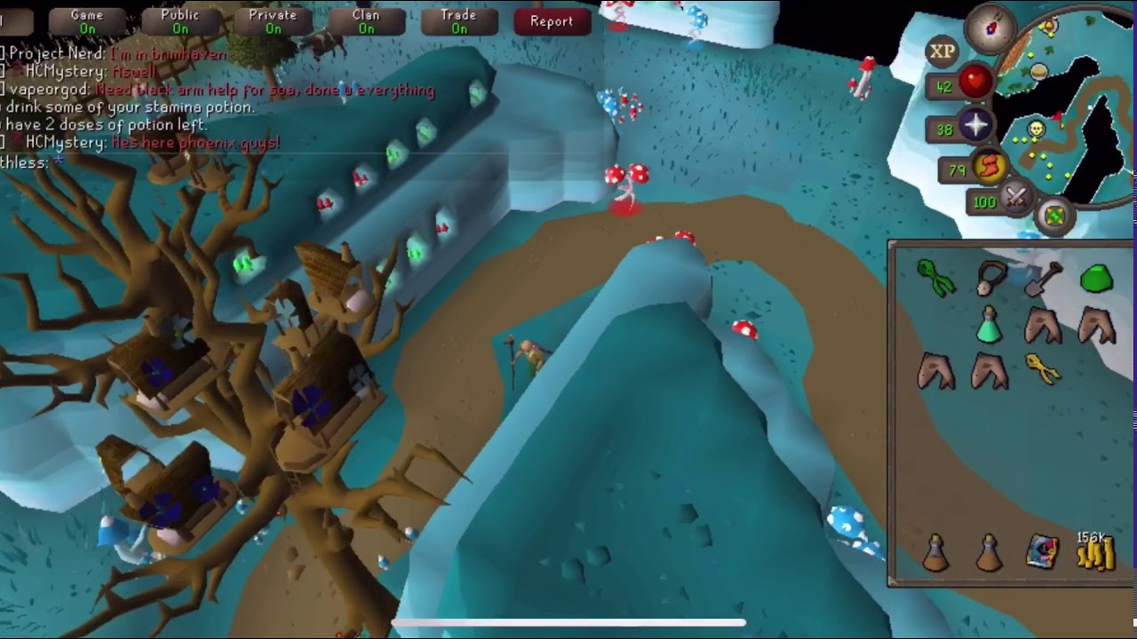 OSRS - THE ZERKER - E3 - QUEST MADNESS - YouTube