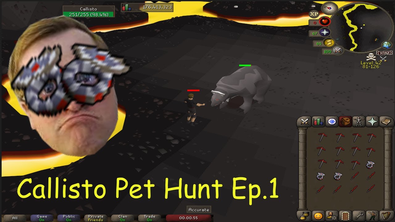 Callisto Pet Hunt Ep.1 - YouTube